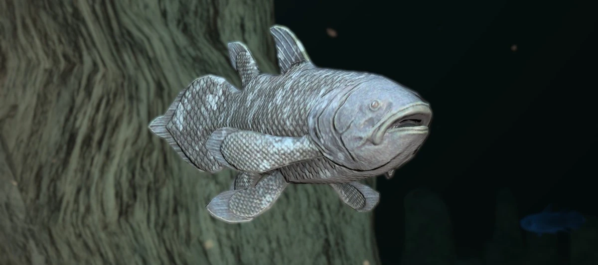 Coelacanth | Endless Ocean Wiki | Fandom