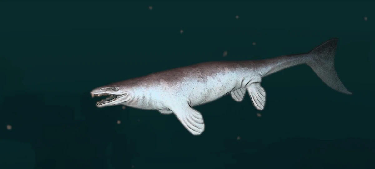 Platecarpus | Endless Ocean Wiki | Fandom