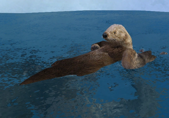 Sea Otter | Endless Ocean Wiki | Fandom