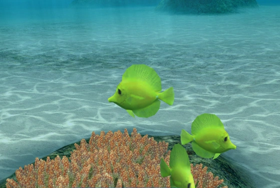 Category:Great Aqua Cave Creatures | Endless Ocean Wiki | Fandom