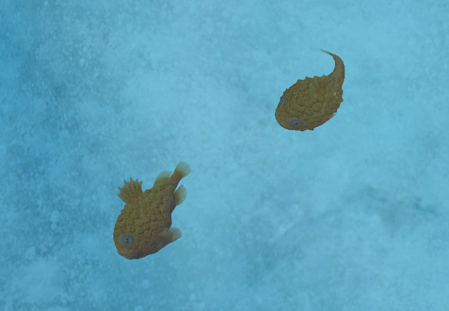 Atlantic Spiny Lumpsucker | Endless Ocean Wiki | Fandom