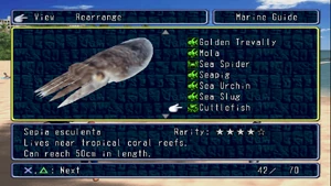 Golden Cuttlefish | Endless Ocean Wiki | Fandom