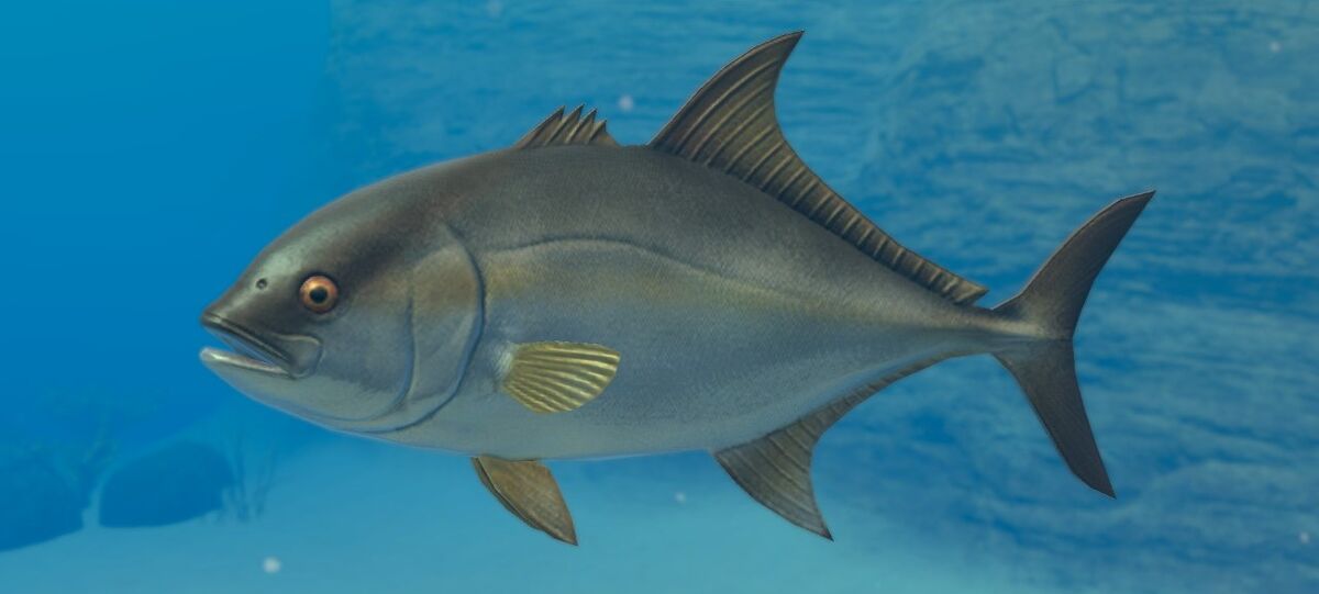 Longfin Yellowtail Endless Ocean Wiki Fandom