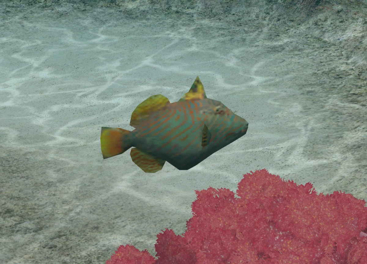 Orange Green Triggerfish