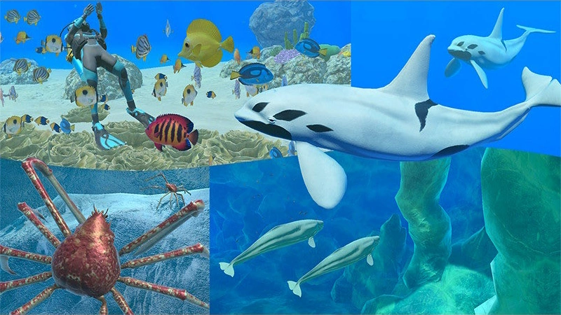 Event Dives | Endless Ocean Wiki | Fandom