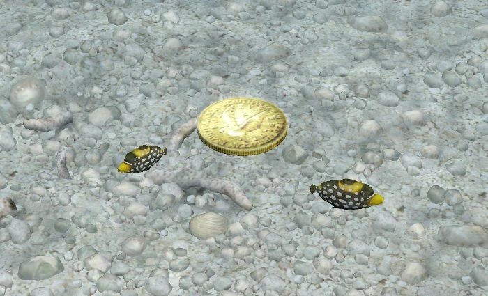 Strange Coins | Endless Ocean Wiki | Fandom
