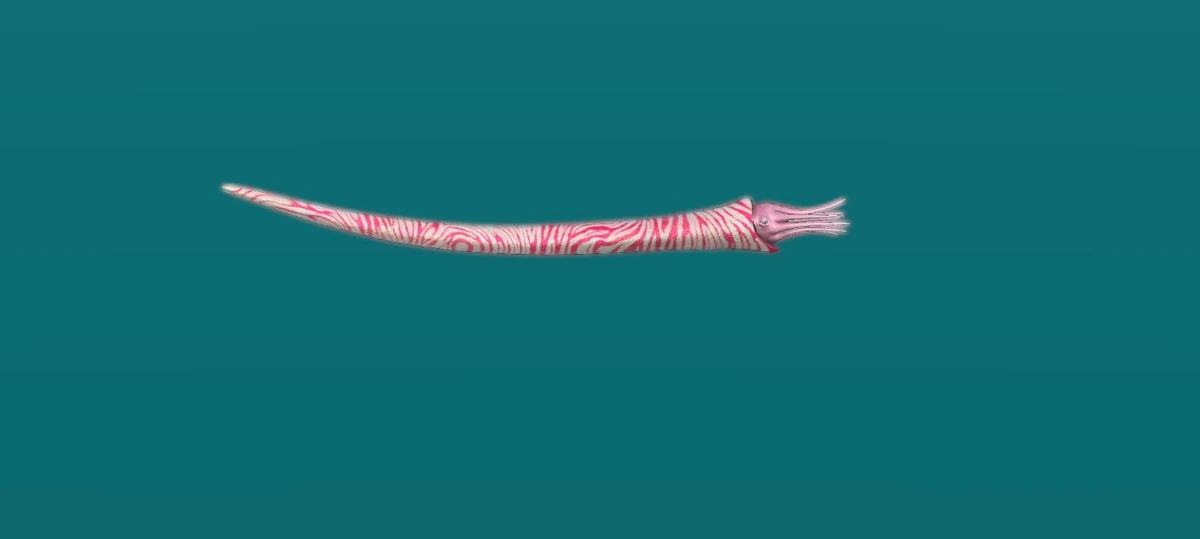 Baculites | Endless Ocean Wiki | Fandom