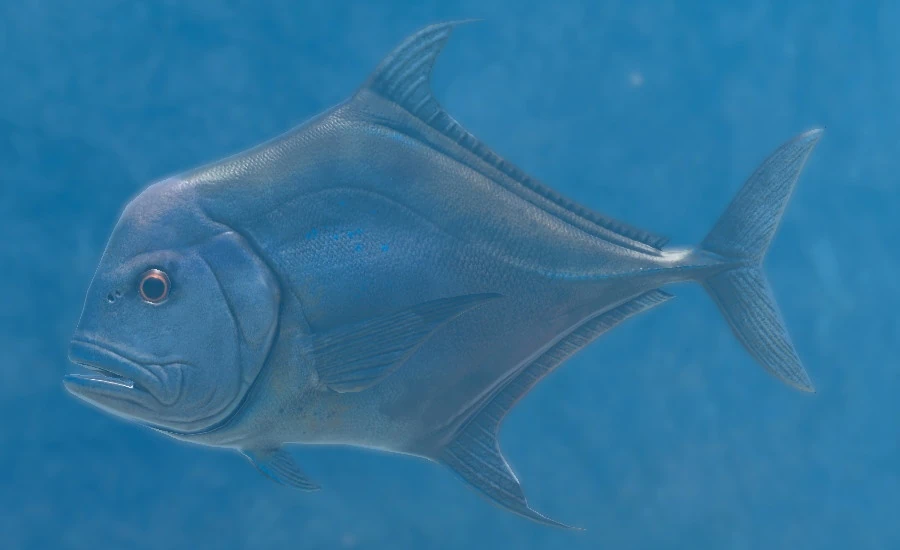 African Pompano | Endless Ocean Wiki | Fandom