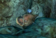 Humpback Anglerfish | Endless Ocean Wiki | Fandom