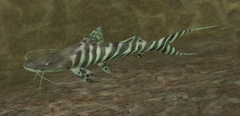 Tiger-Striped Catfish | Endless Ocean Wiki | Fandom