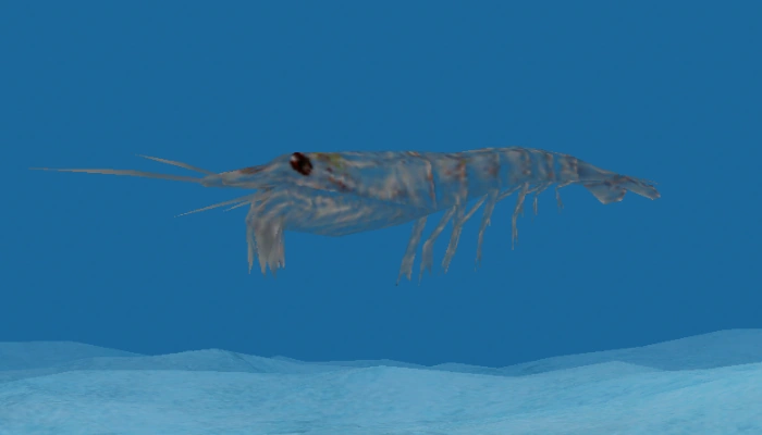 Antarctic Krill Swarm