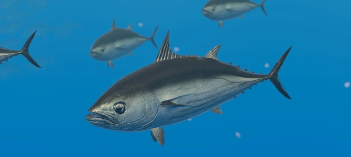 Skipjack Tuna | Endless Ocean Wiki | Fandom