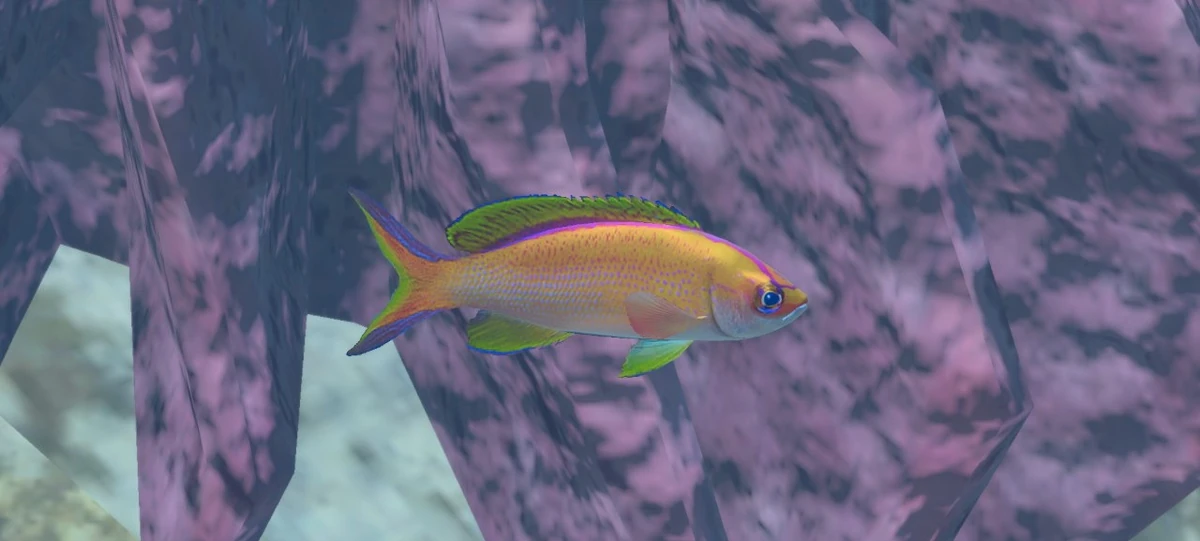 Sunset Anthias | Endless Ocean Wiki | Fandom