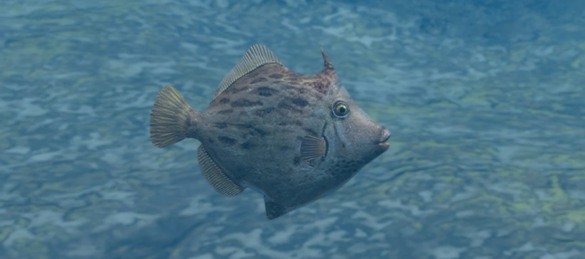Thread-Sail Filefish | Endless Ocean Wiki | Fandom