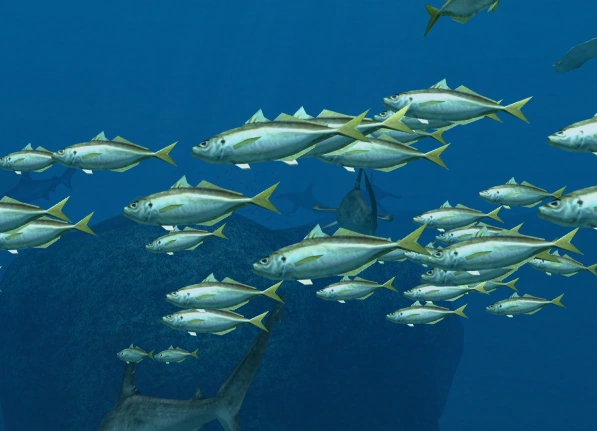 Japanese Jack Mackerel | Endless Ocean Wiki | Fandom