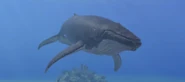 Humpback Whale | Endless Ocean Wiki | Fandom