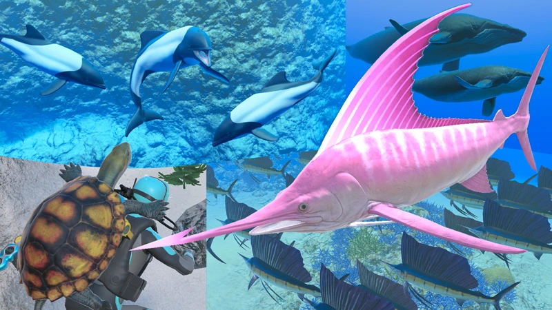 Event Dives | Endless Ocean Wiki | Fandom