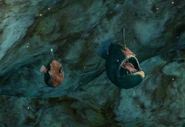 Humpback Anglerfish | Endless Ocean Wiki | Fandom