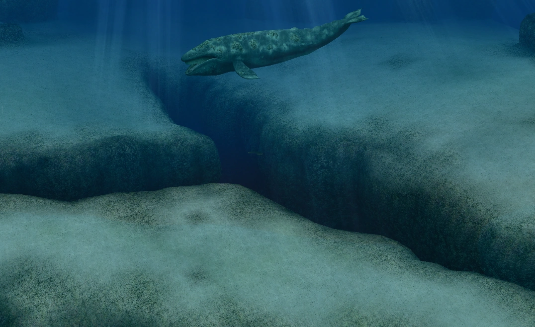 Northern Crevasse | Endless Ocean Wiki | Fandom