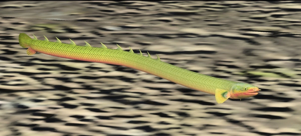 Reedfish | Endless Ocean Wiki | Fandom