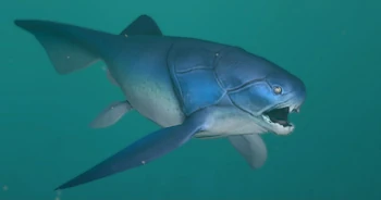 Titanichthys | Endless Ocean Wiki | Fandom