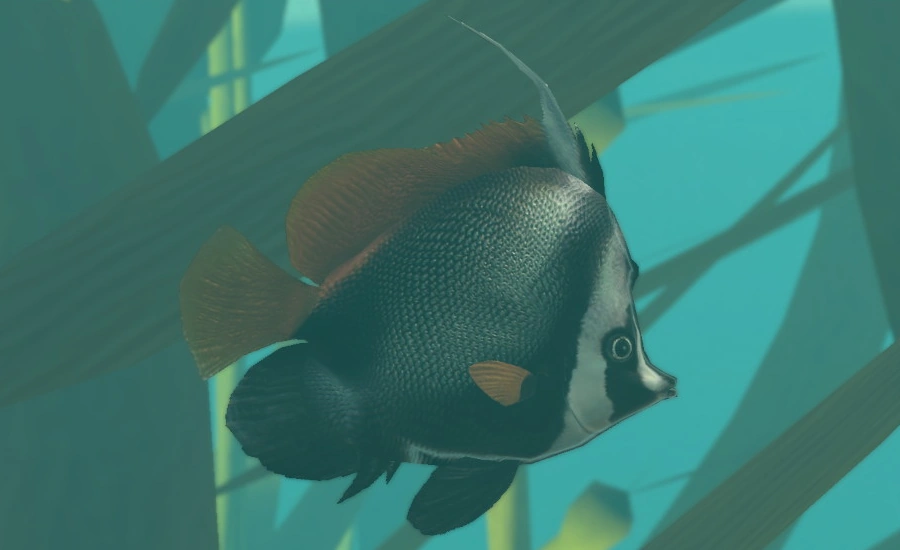Singular Bannerfish | Endless Ocean Wiki | Fandom