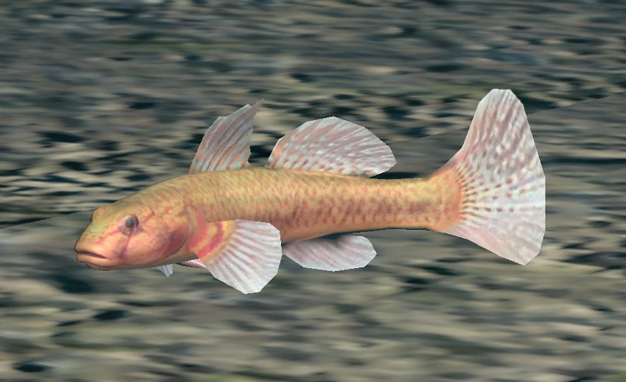 Lizard Goby | Endless Ocean Wiki | Fandom
