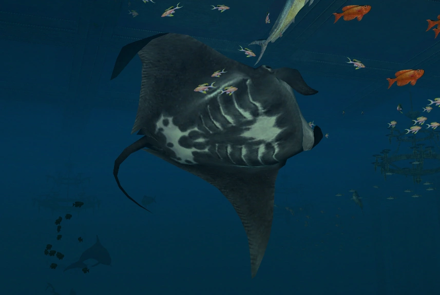 Phantom | Endless Ocean Wiki | Fandom