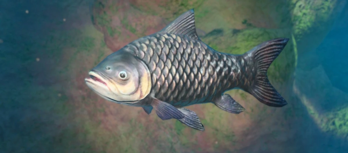 Giant Barb | Endless Ocean Wiki | Fandom