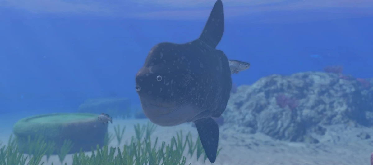 Giant Sunfish | Endless Ocean Wiki | Fandom