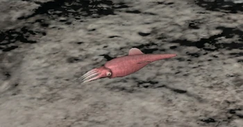 Belemnite | Endless Ocean Wiki | Fandom