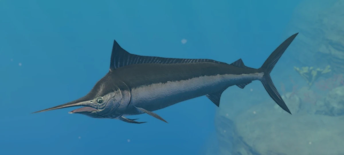 Black Marlin | Endless Ocean Wiki | Fandom