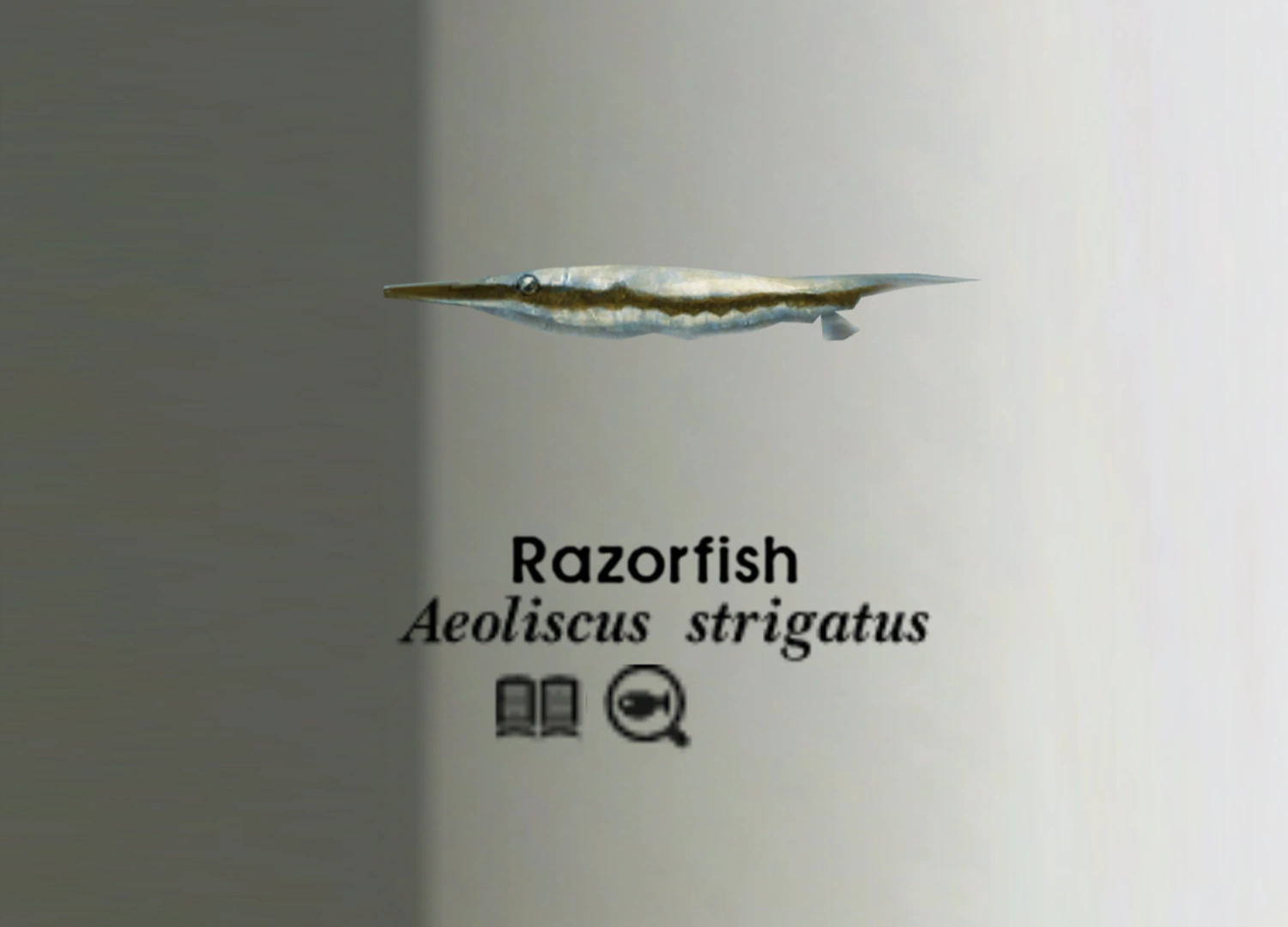 Razorfish Icon