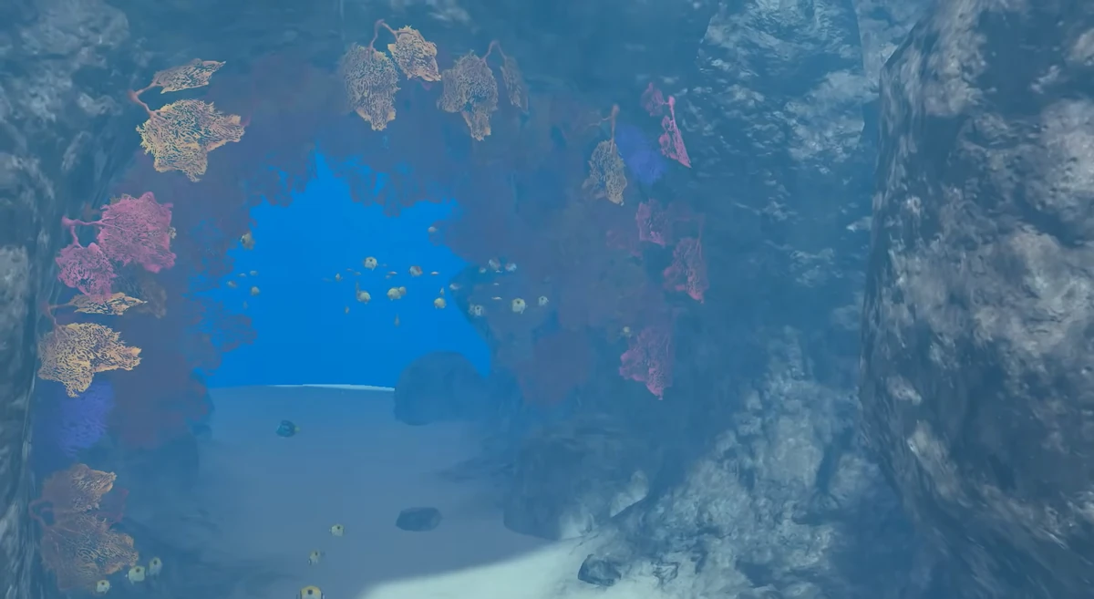 Rocky Reefs | Endless Ocean Wiki | Fandom