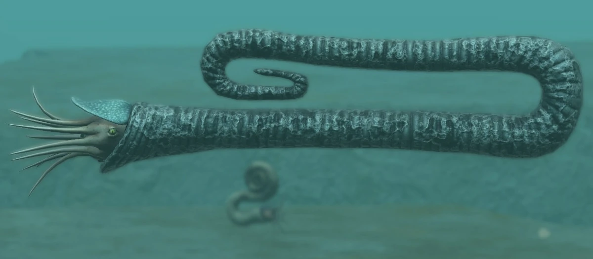 Diplomoceras | Endless Ocean Wiki | Fandom