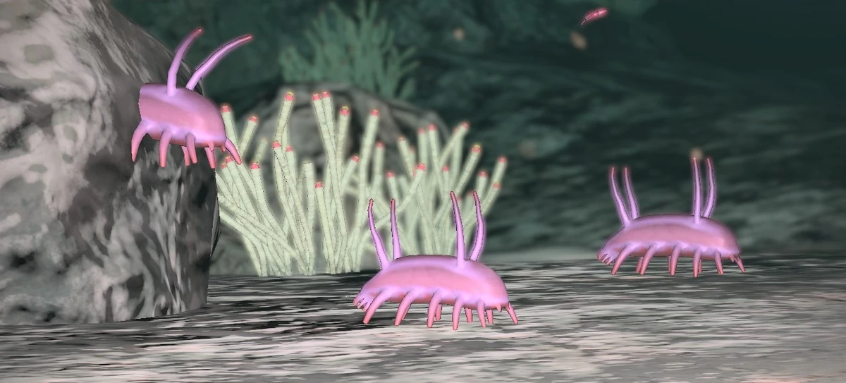 Sea Pig | Endless Ocean Wiki | Fandom