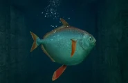 Opah | Endless Ocean Wiki | Fandom