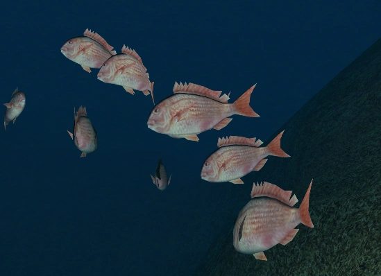 Red Sea Bream | Endless Ocean Wiki | Fandom