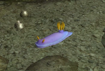 Cinderella Sea Slug | Endless Ocean Wiki | Fandom