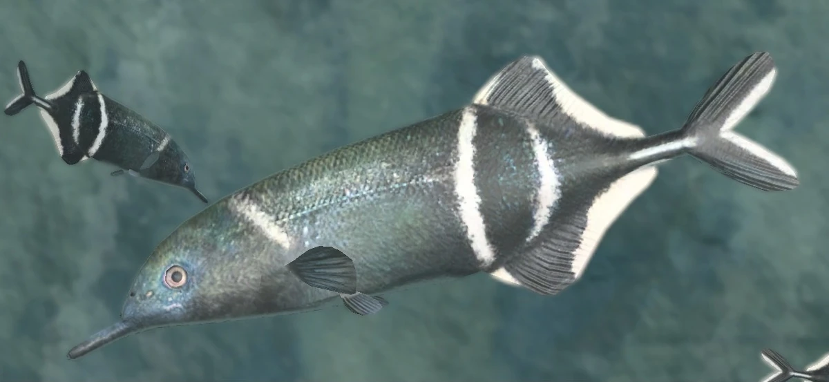 Elephantnose Fish | Endless Ocean Wiki | Fandom
