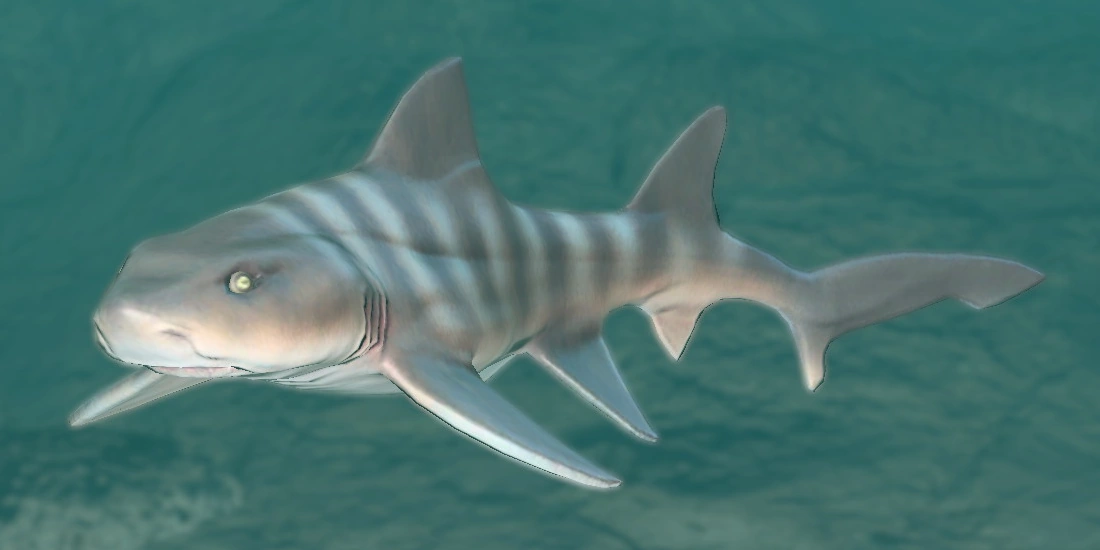 Banded Houndshark | Endless Ocean Wiki | Fandom