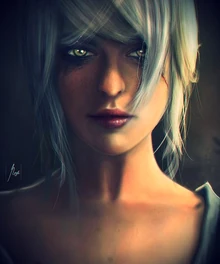 Plase | S and S Wiki | Fandom