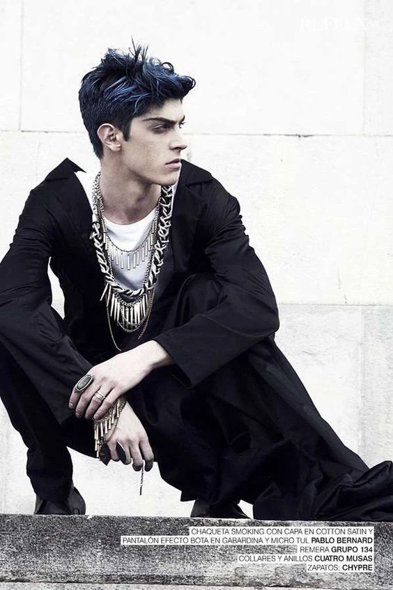 Animus | S and S Wiki | Fandom