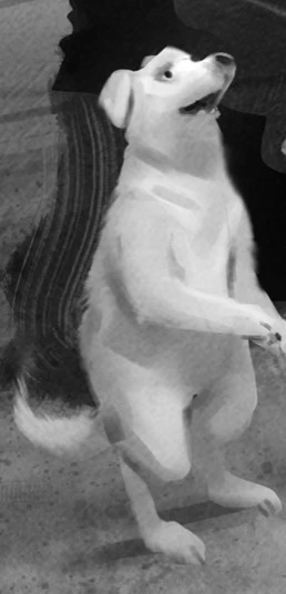 Maia | Endling Wiki | Fandom