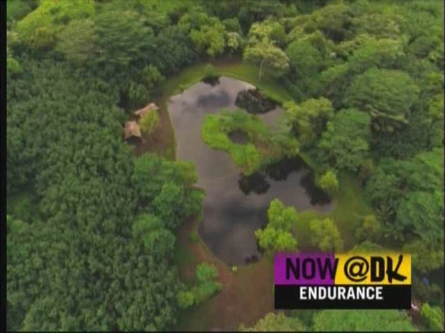 Category:Endurance Specials | Endurance Wiki | Fandom