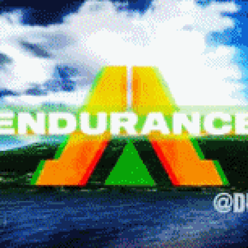 Ashley Gudzak Endurance