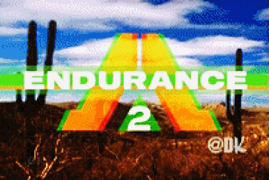 Ashley Gudzak Endurance