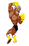 Super Macho Man | Enemies and villians Wiki | Fandom