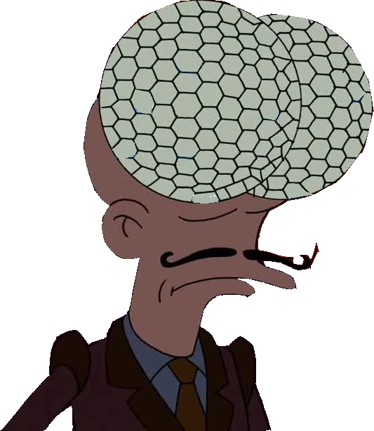 Fly Mutant | Futurama Wiki | Fandom