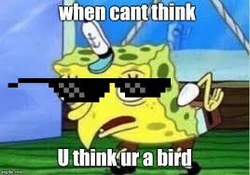 70 Mocking Spongebob Memes Also Known As Spongemock Memes